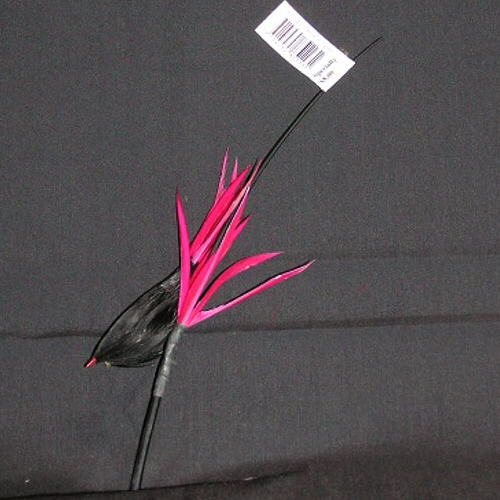 Black Ostrich Quill and black feathered bird millinery fascinator