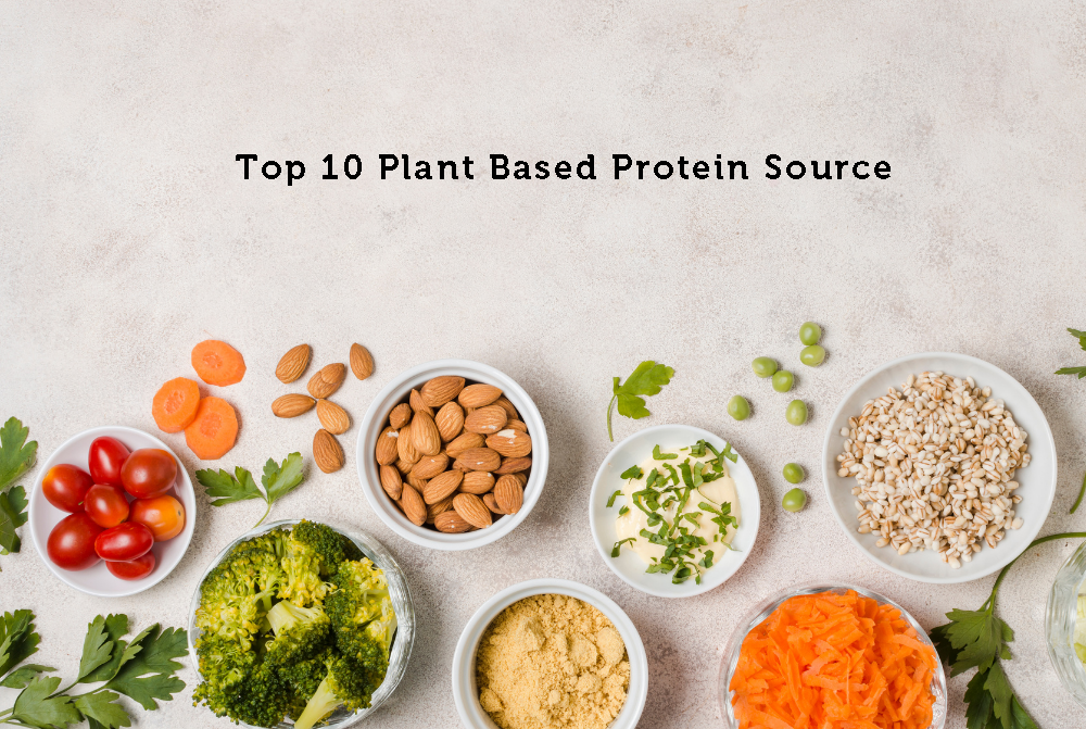 Top 10 Plant-Based Proteins You Need to Stay Strong and Healthy