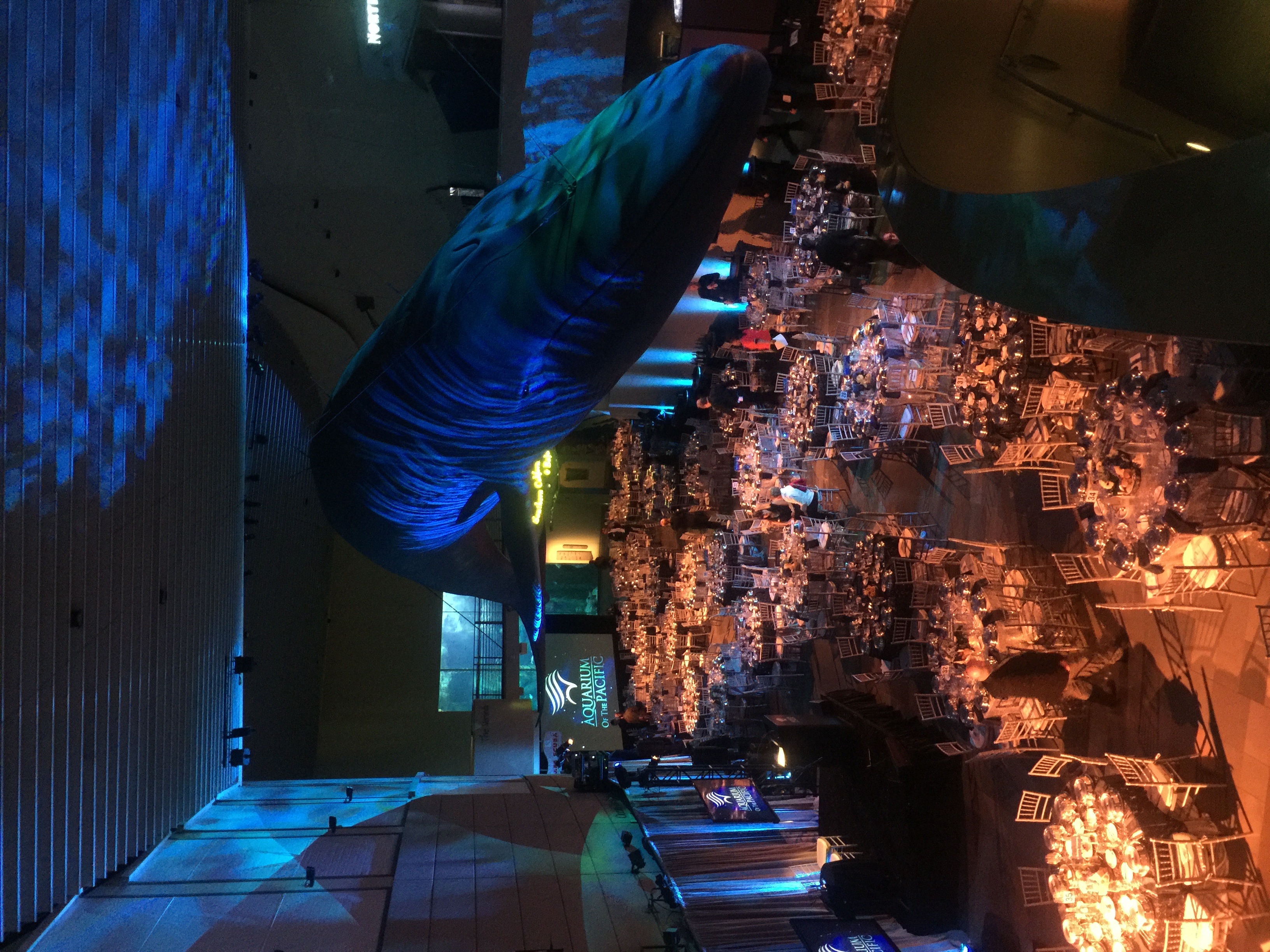 Full-Blown Events | Event Planner In California | Orange County