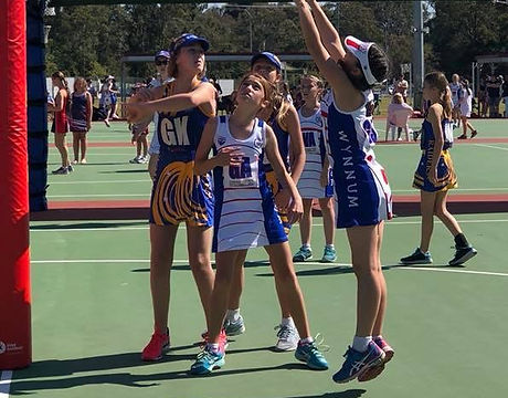 WDNA Wynnum District Netball Association