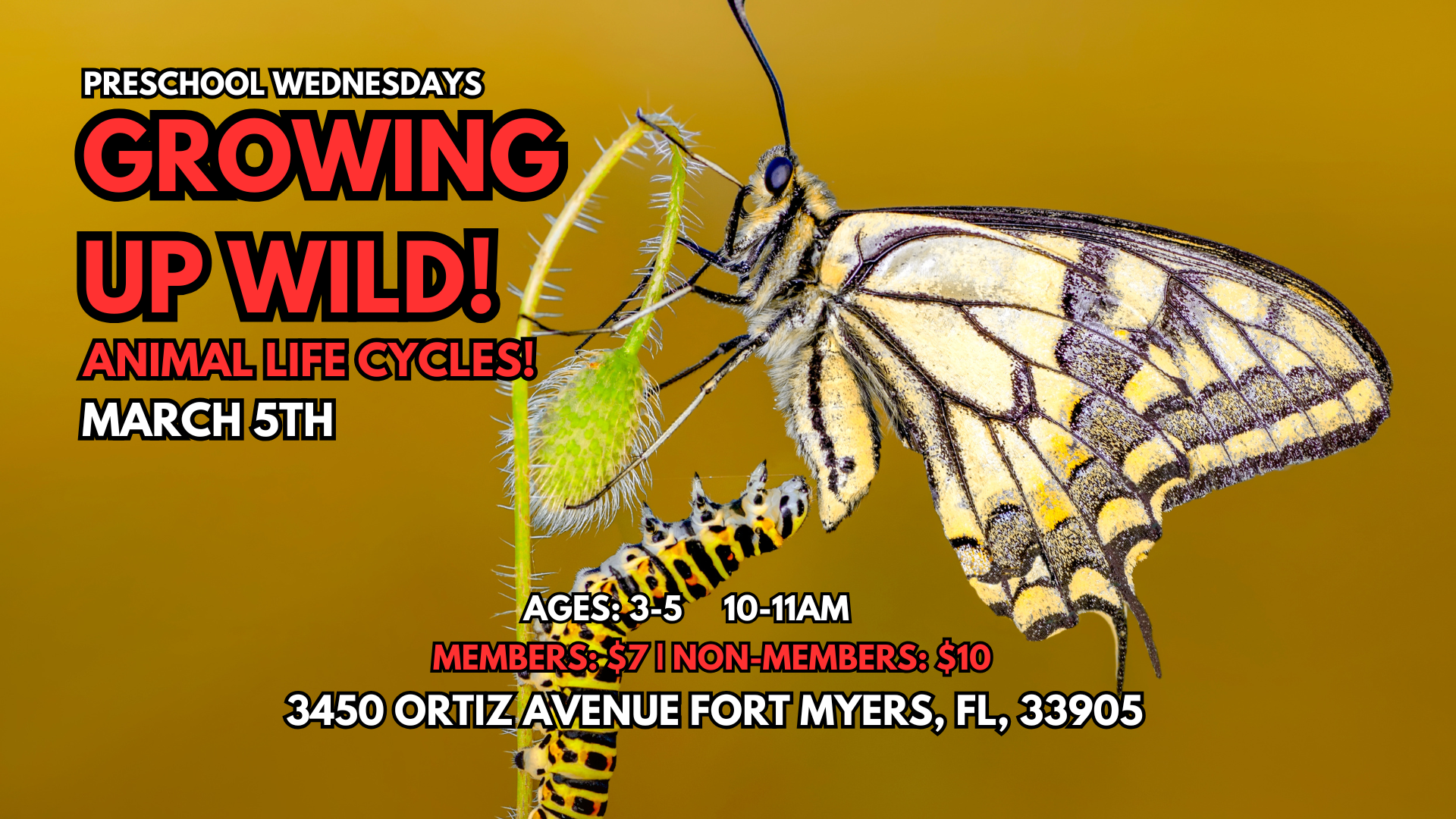 Preschool: Growing up Wild! | Calusa Nature Center