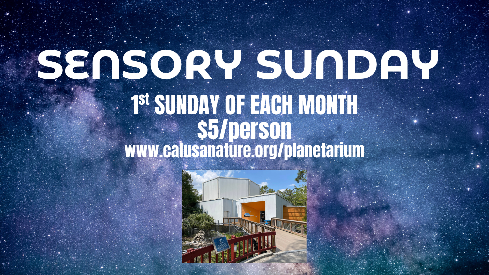 Sensory Sunday | Calusa Nature Center