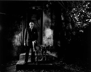 Racing dogs | Peter Lavery