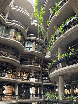 Infectious disease modelling | Keisuke Ejima