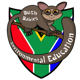 About Us | SFW Conservation