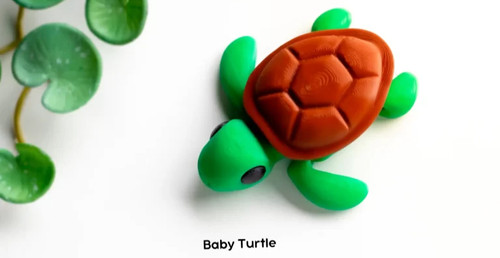 Baby Turtle | Mind Creation 3D