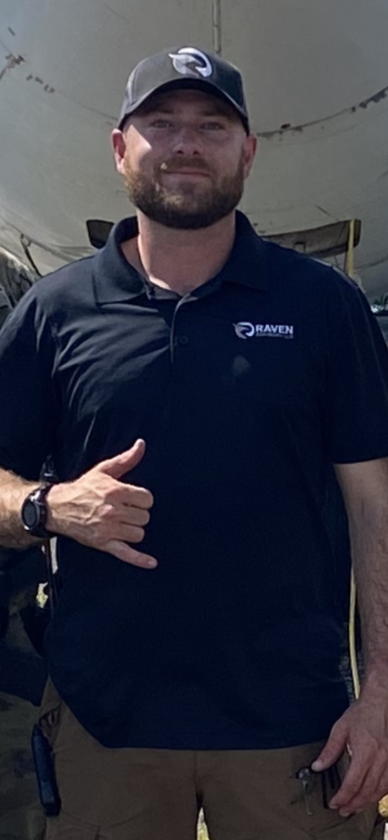 Commercial Division Raven Advisory Gryphon Group