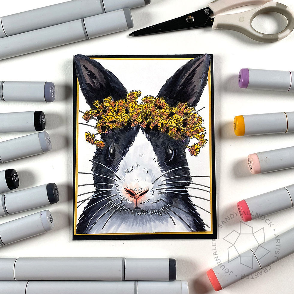 Rubber Stamping & Cardmaking & Scrapbooking | Colorado Craft Company 3/19