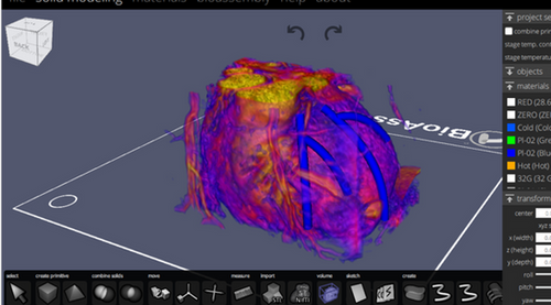 TSIM (Yearly Subscription) | Advanced Solutions