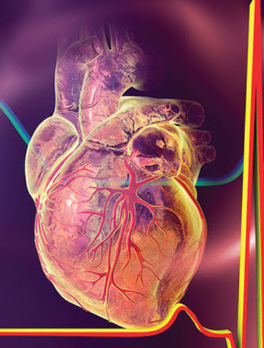 CARDIOLAB | Romsey & Lancefield Medical Centres