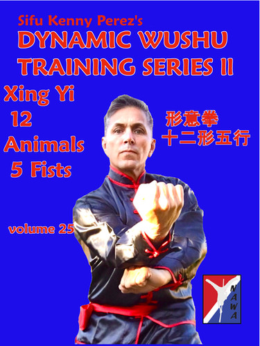 Xing Yi Chuan Routine | Tai Chi & Wellness