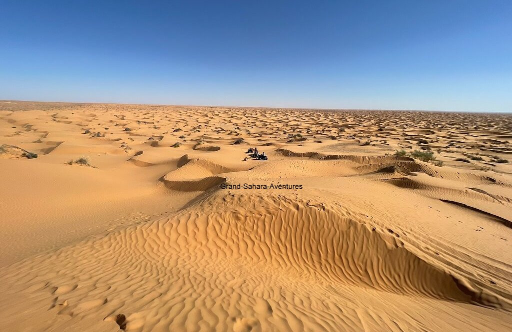 Ksar Ghilane 1-Day Desert Tour from Djerba – Sahara Experience