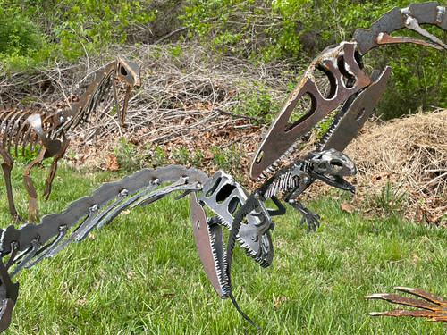 Coelophysis Steel Skeleton | Fossil Foundry
