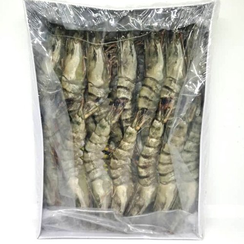 Tiger Prawn, Head On Shell On | Size: XL | WAN WAN Malaysia