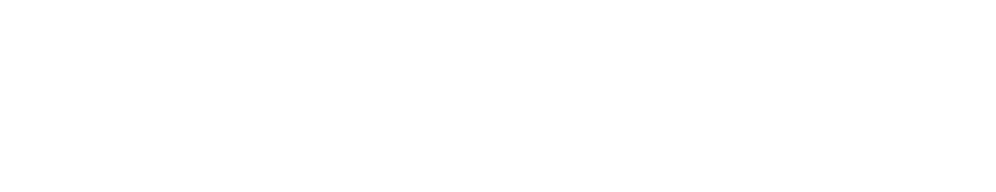 Absolute Party Boats