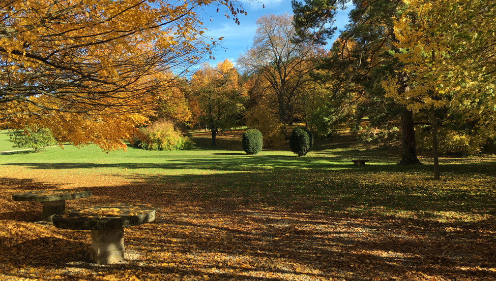 Le Parc | Château Montfleury