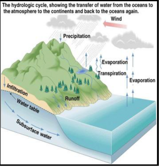 Biogeochemical Cycles Bioninja Nitrogen Cycle Carbon - vrogue.co Biogeochemical Cycles Bioninja Nitrogen Cycle Carbon - vrogue.co