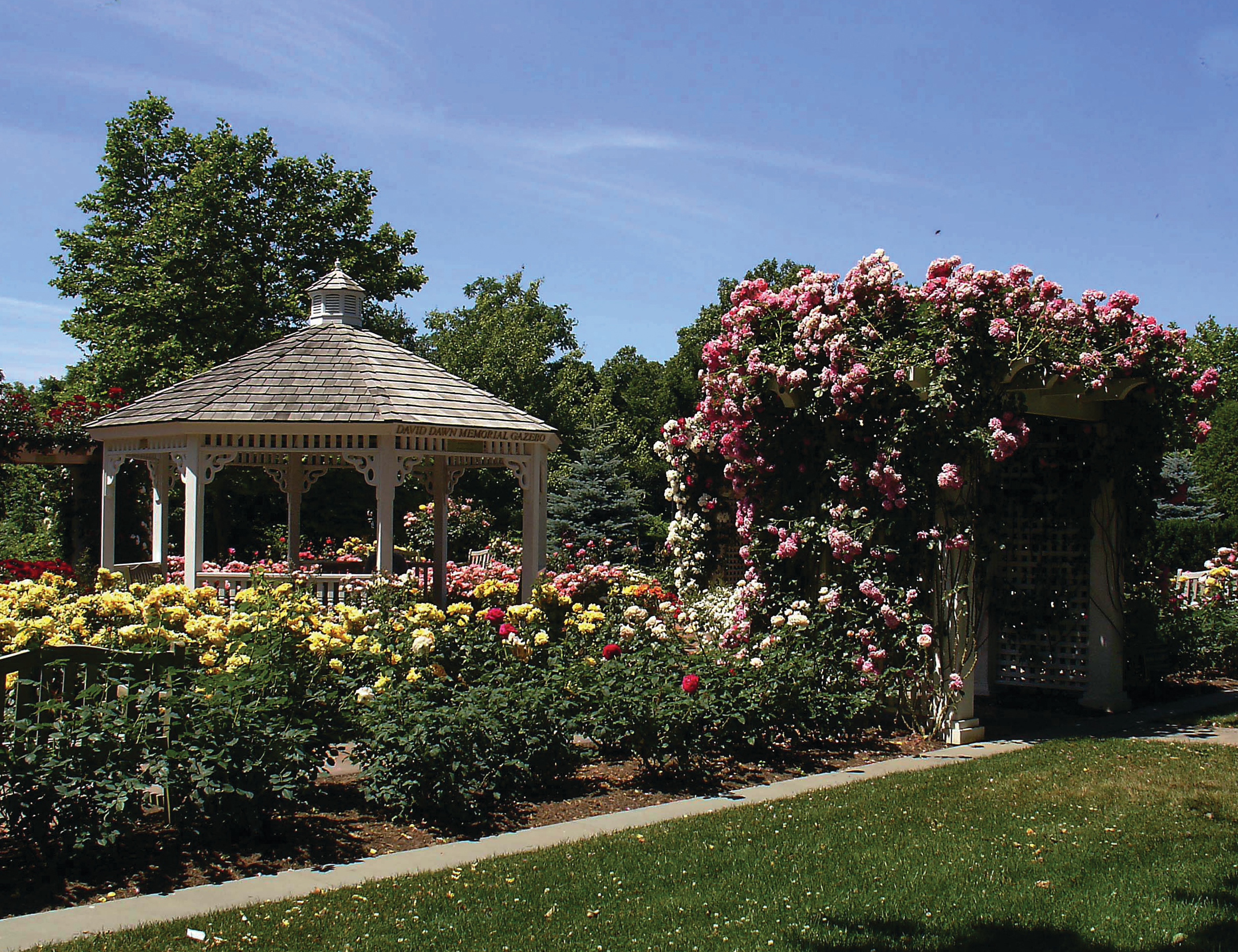 Donate | American Rose Society