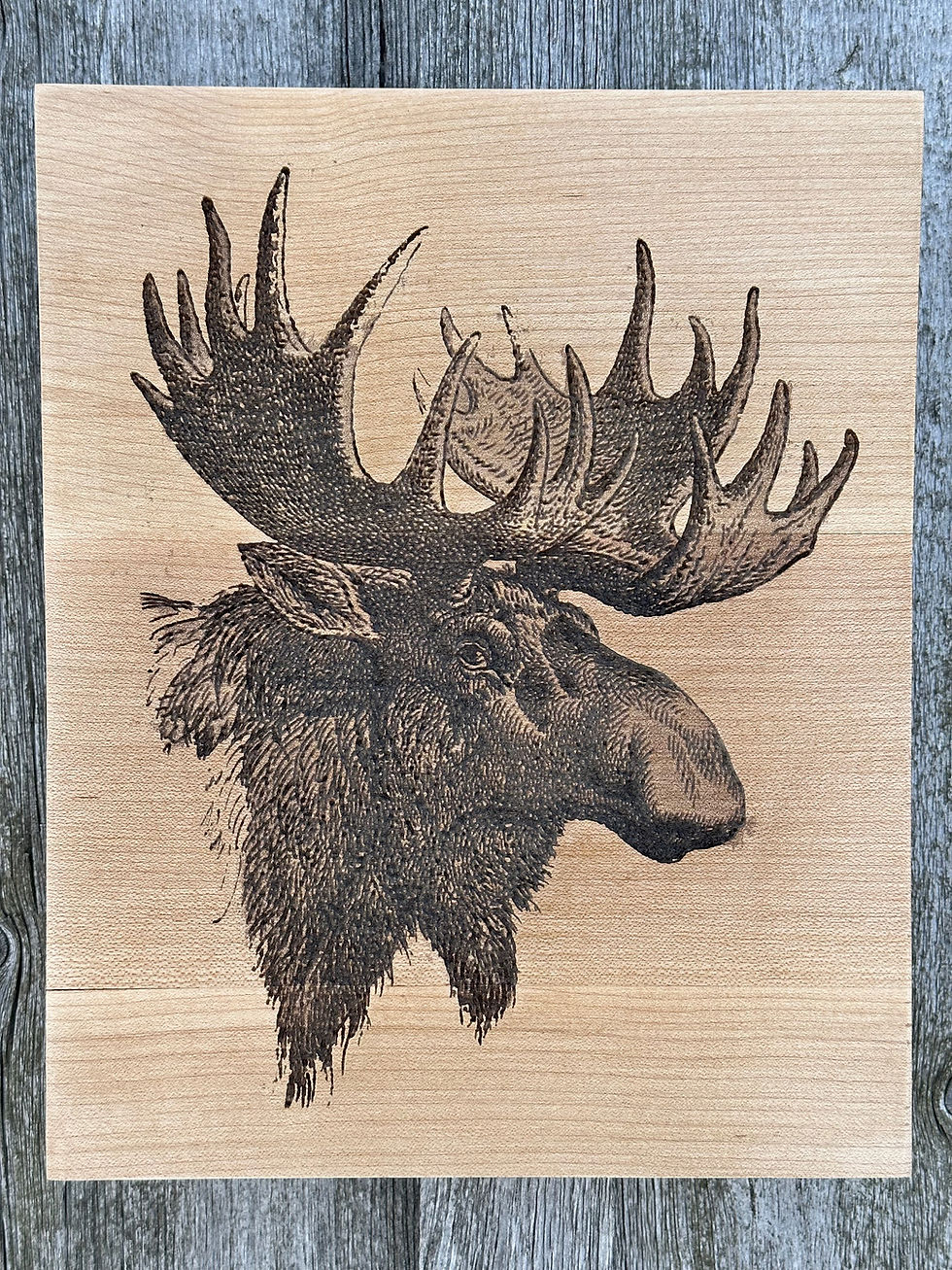 Laser Engraved Bull Moose. 8” x 10” Can be sold as a set with the Buck ...