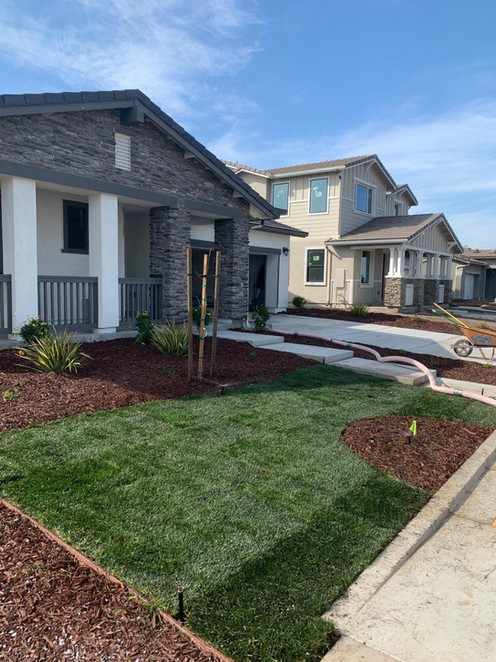 Landscaping | California Landscaping Services Inc | Central Valley