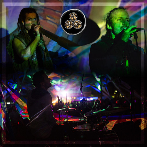 OLIVE TREE DANCE | MEMBROS | Natural Groove Recor