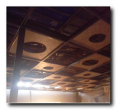 CANE-FALSE-CEILING | Novelty Cane Art