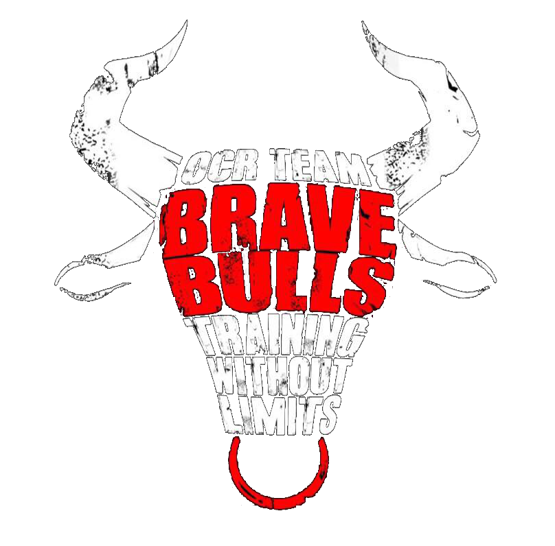 Join "BRAVE BULLS" on the Spaces by Wix App