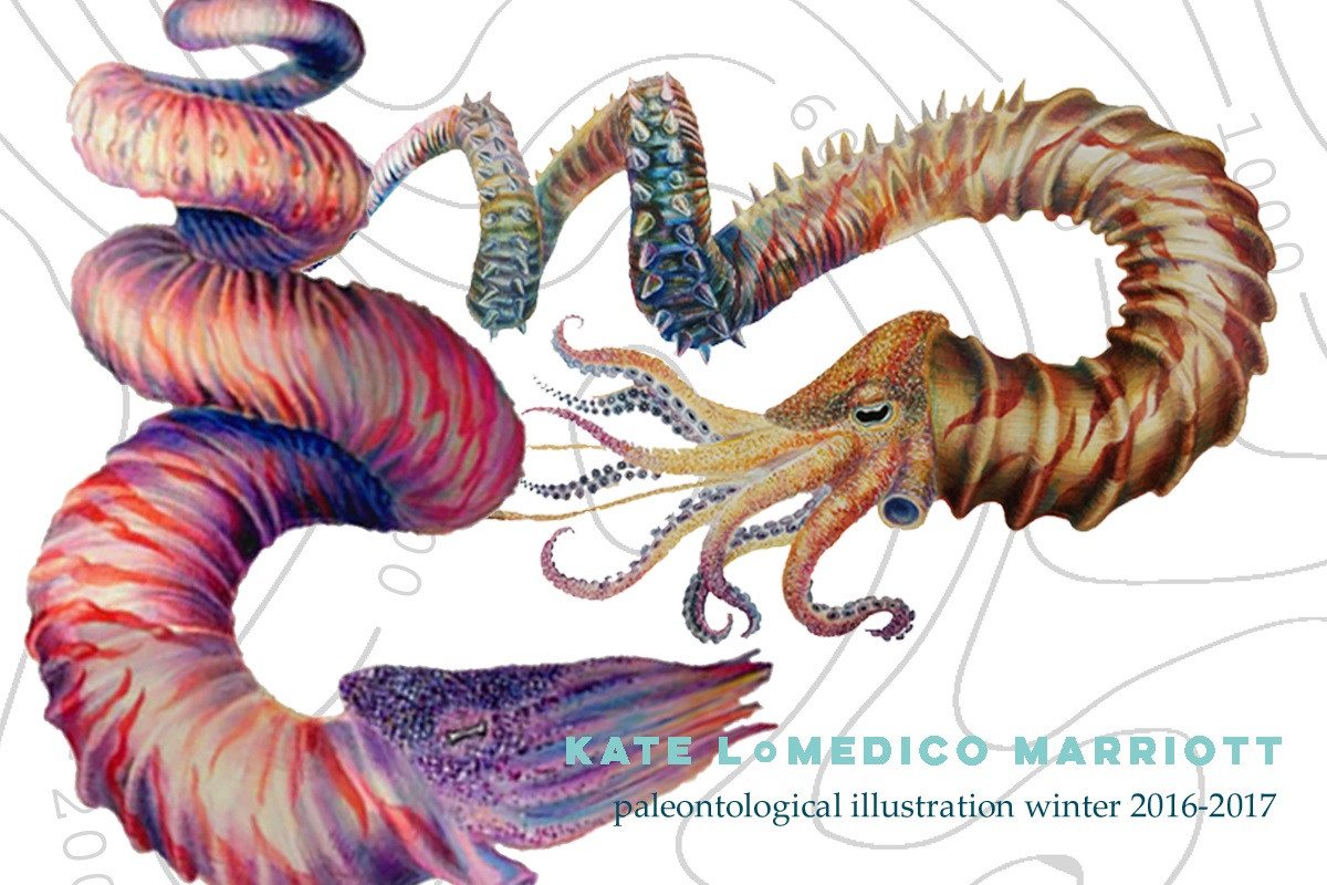 Paleoart | Kate LoMedico Marriott