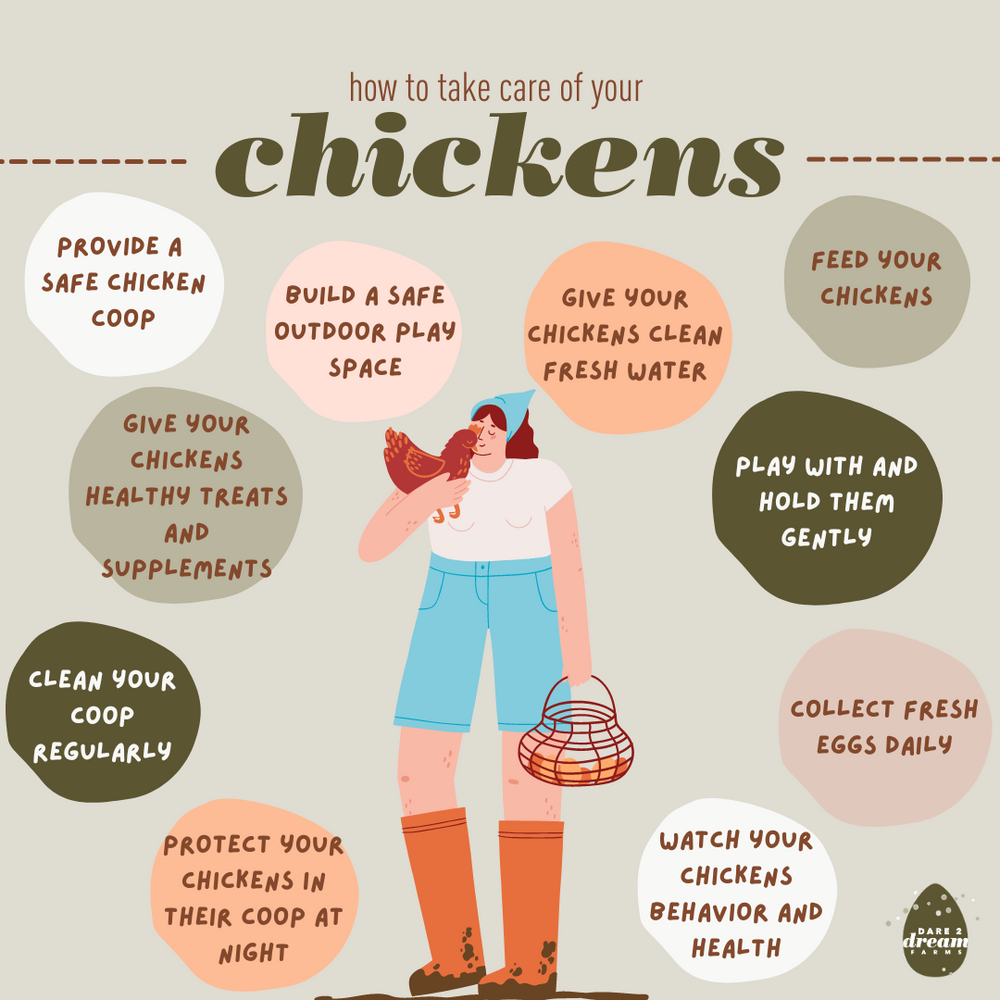 Teaching Kids How to Raise their Own Chickens For Eggs - Dare 2 Dream Farms