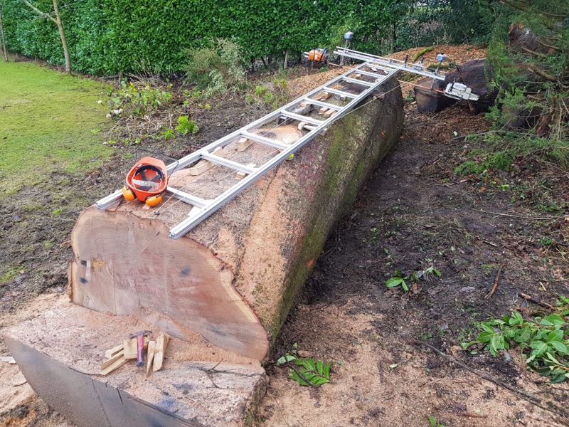 Large oak tree milling project