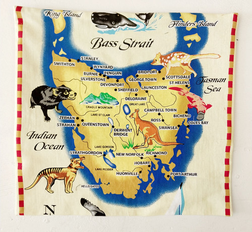 Slightly Mad cushion cover map of Tassie | shalldesign