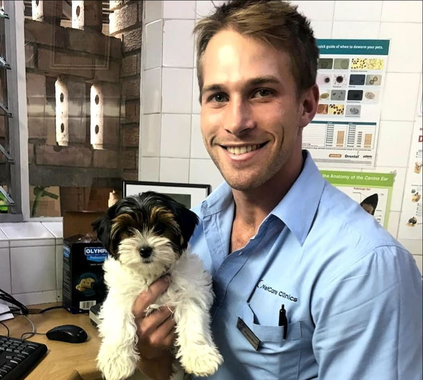 Honeydew Animal Clinic | Veterinarian | Traditional Chinese Veterinary ...