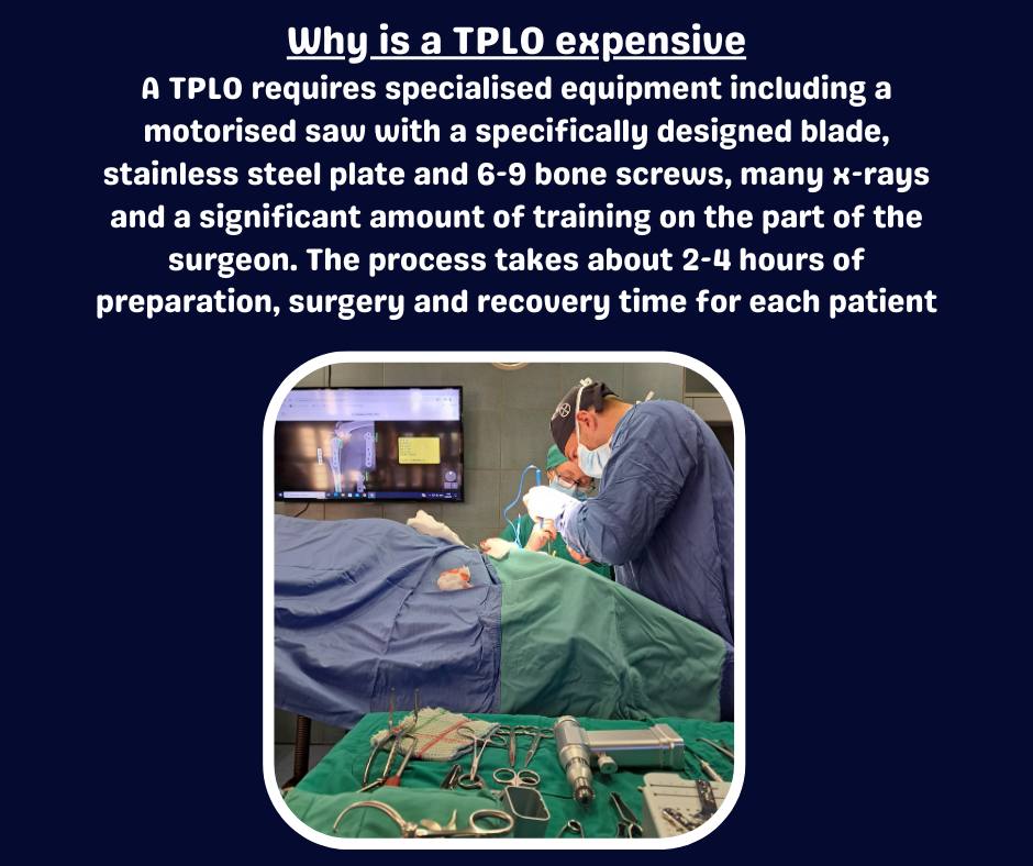 TPLO - tibial plateau levelling osteotomy