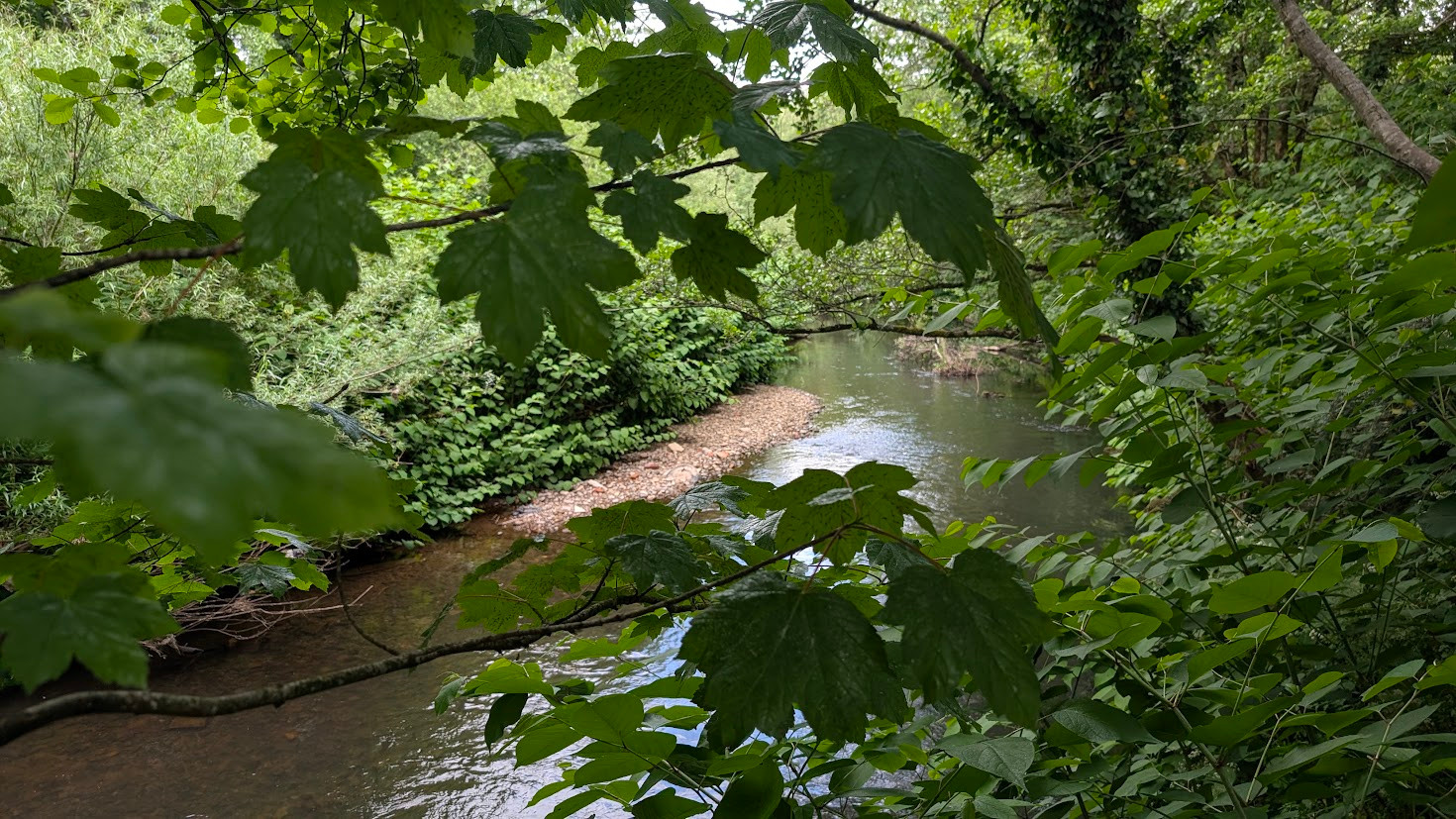Afon Lwyd: The Story of Ponthir’s Silver Stream