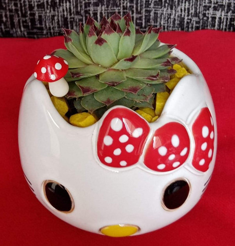 Maceta Hello Kitty | My Site