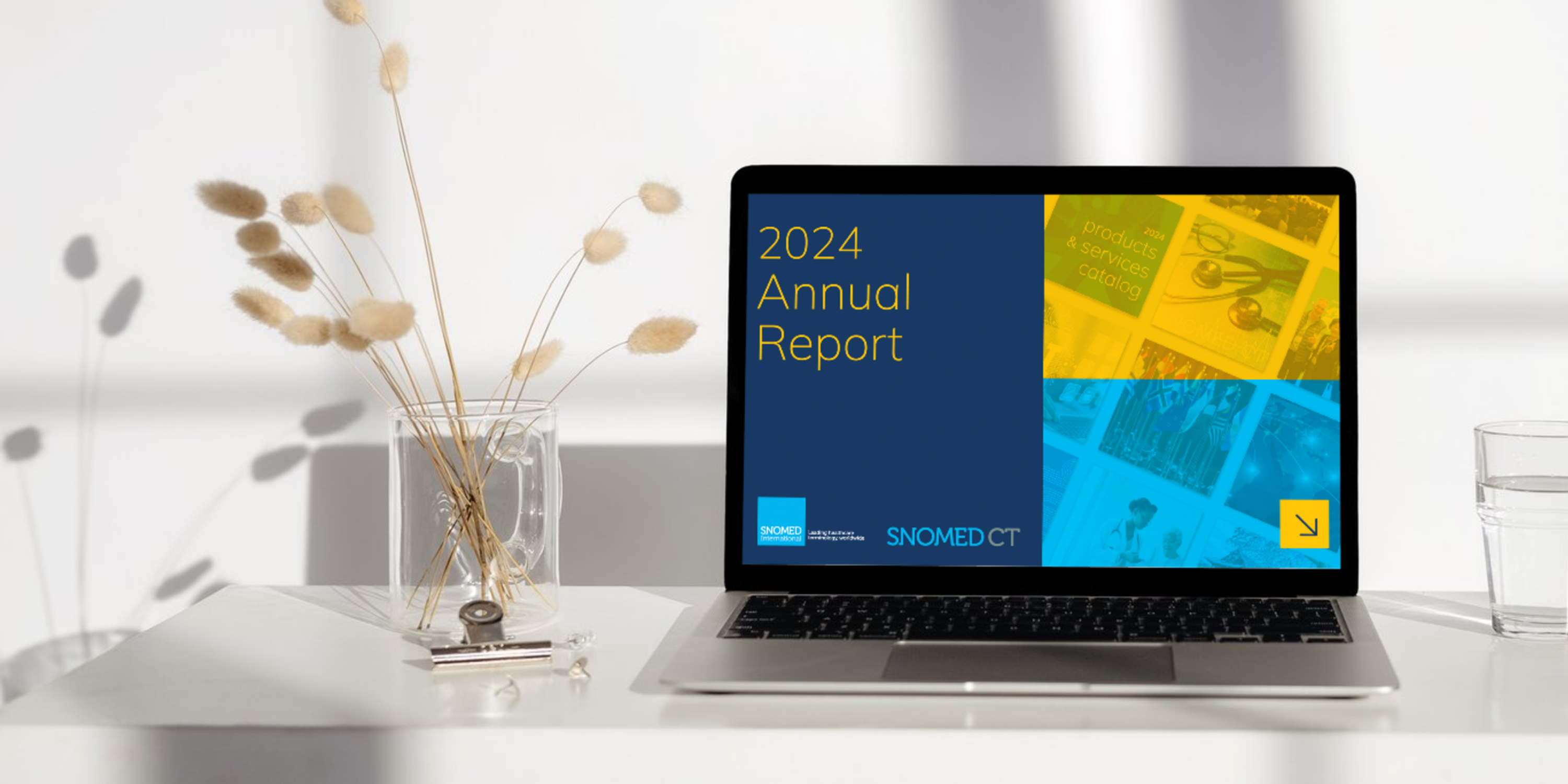 2024 Annual Report highlights the year's achievements and activities