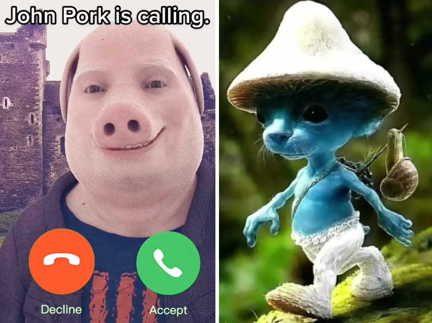 The TikTok "meme drought" of 2025 sparks a 2023 meme revival campaign