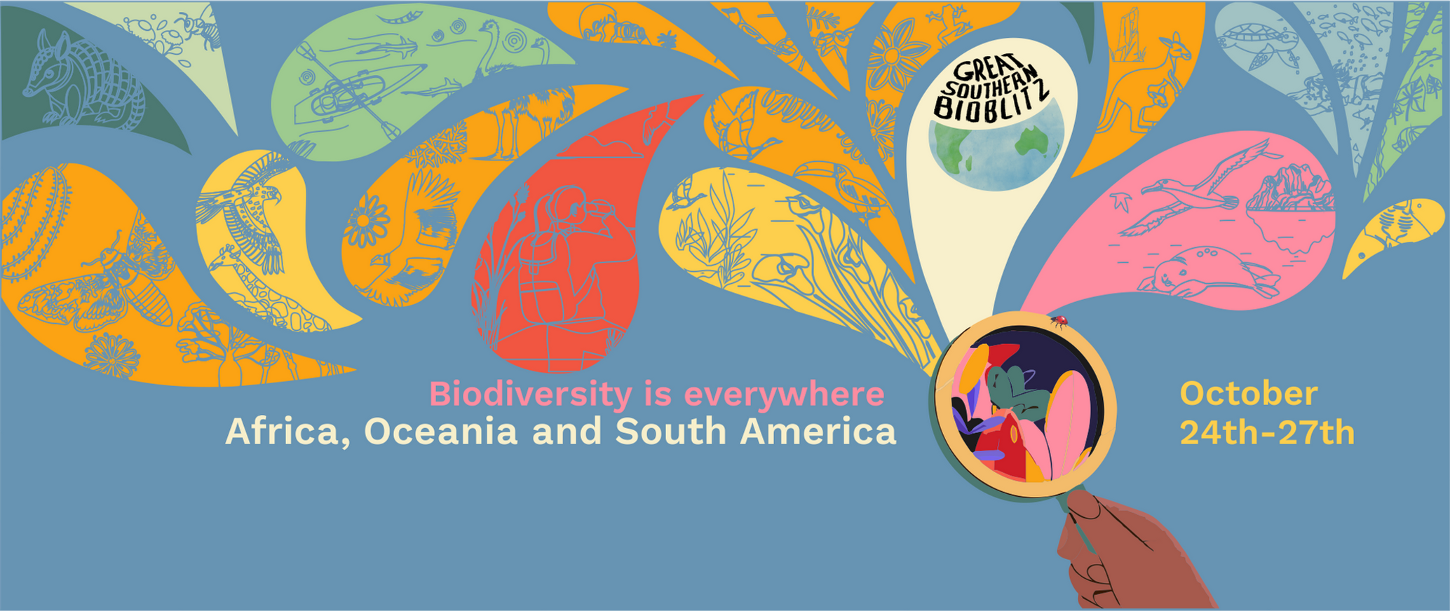 The Great Southern BioBlitz 2025, Nearing 300,000 Observations and ...