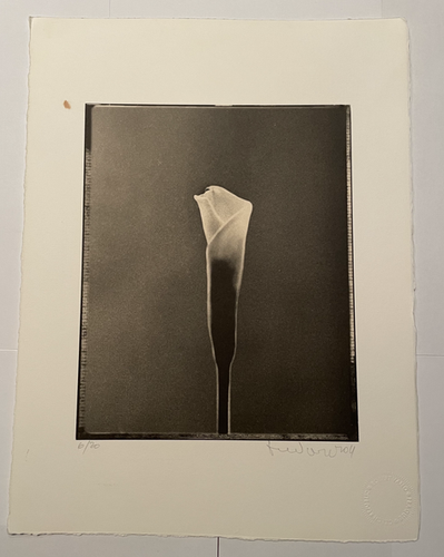 108 - Lily, Praha 1997, 6/20 | Robert Vano shop