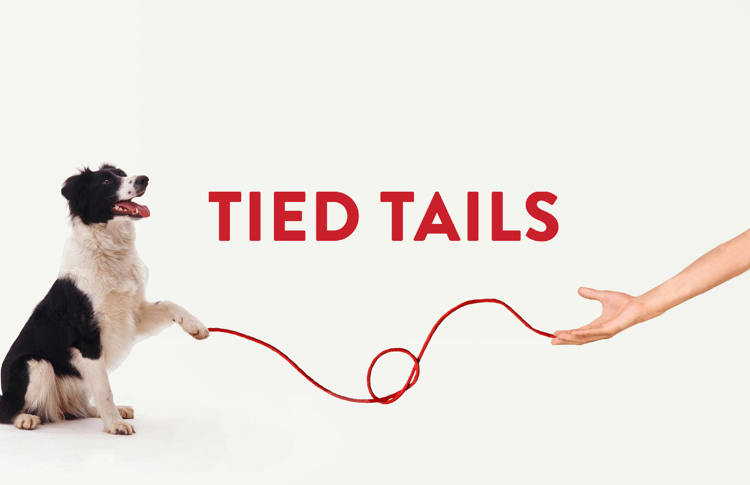 Tied Tails | Karissa Munaf