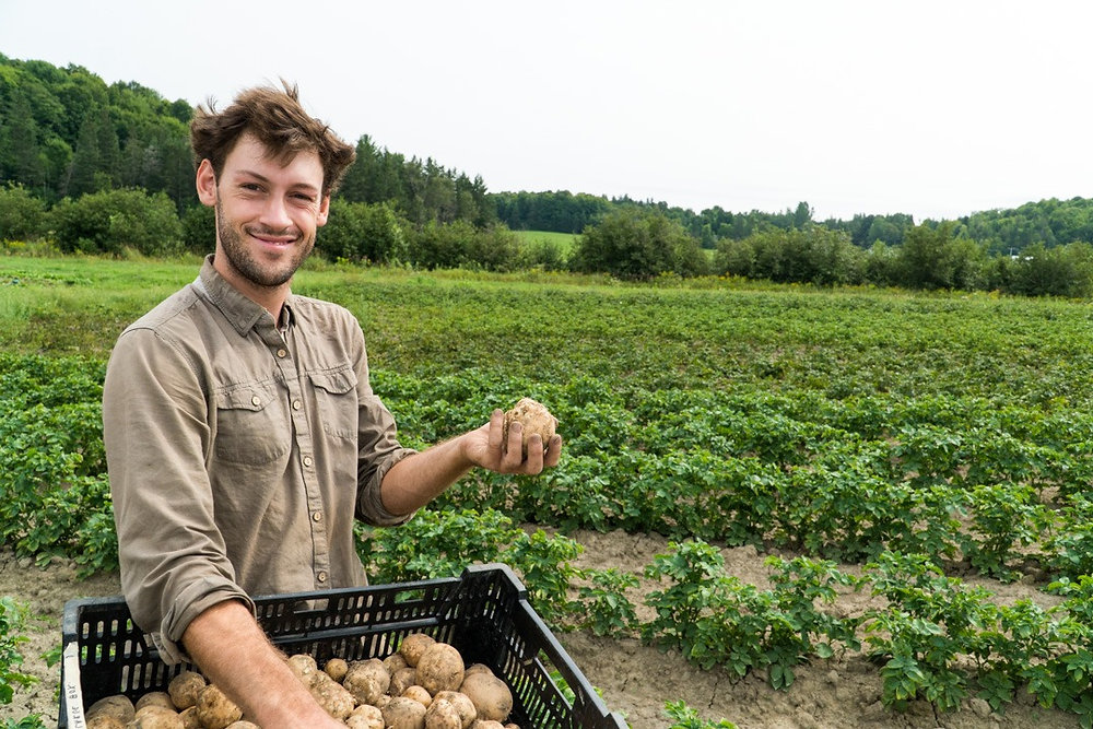 Work for food! / Travaillez pour la nourriture!