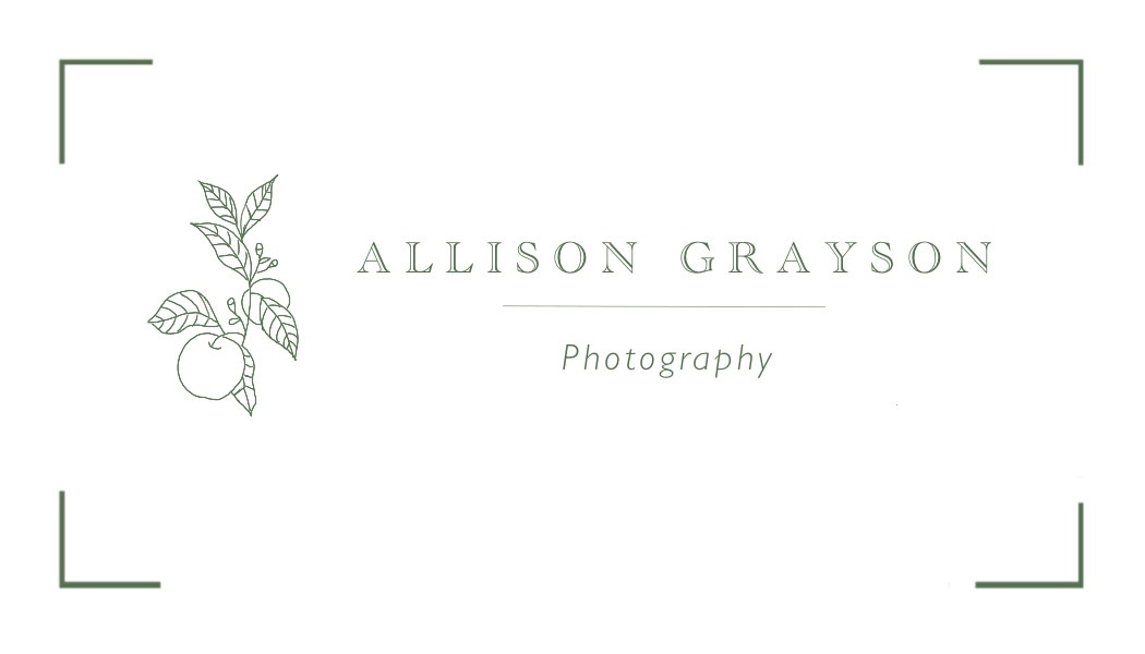 allison grayson