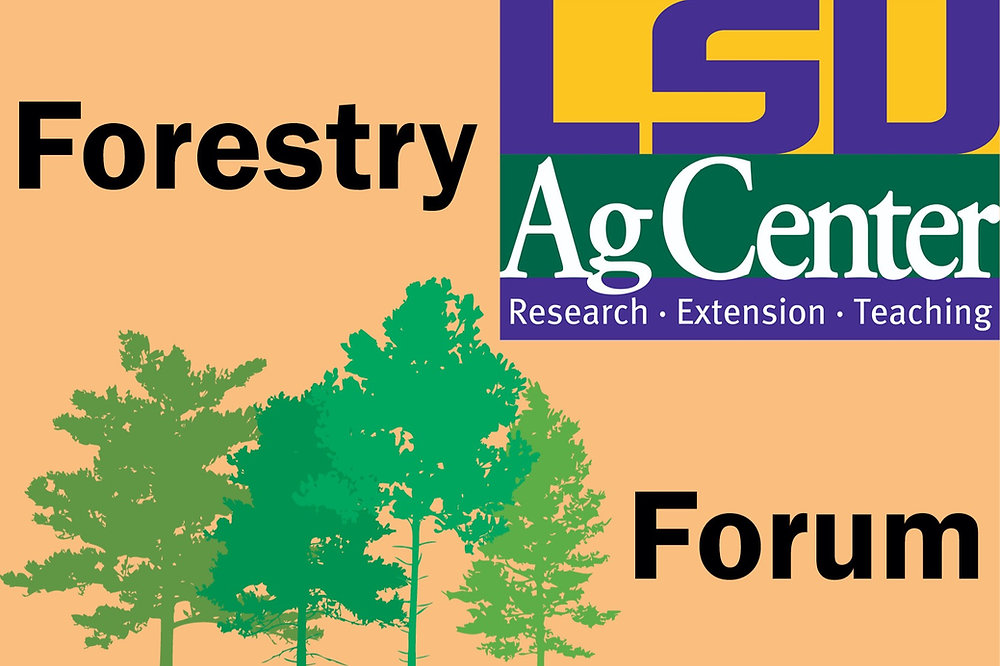 Regeneration topic of Forestry Forum