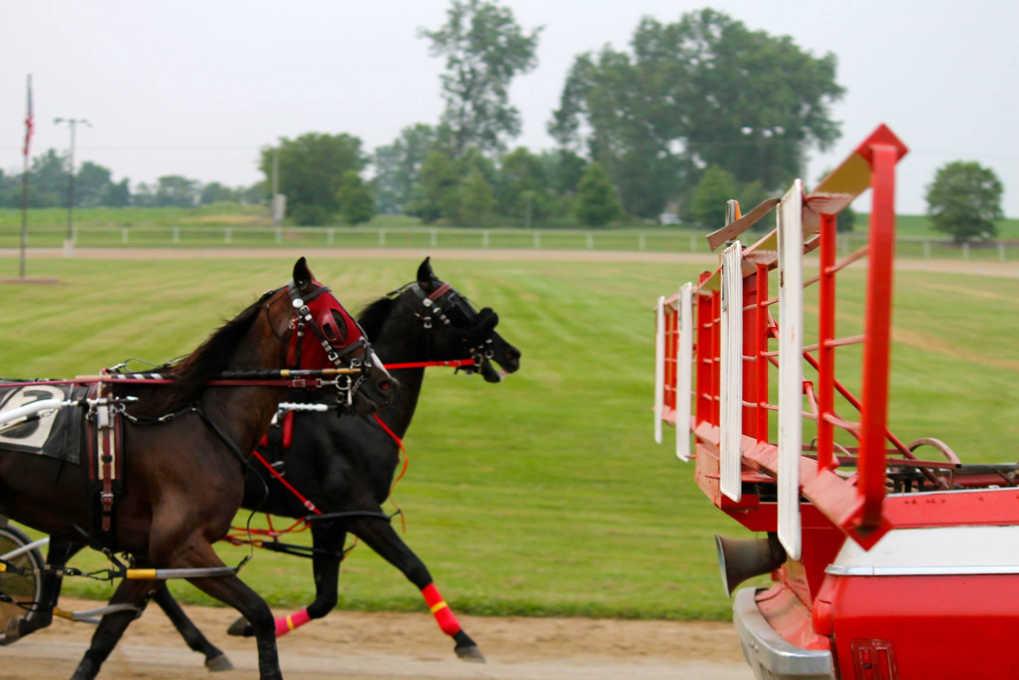 About Us | United Us | ITPA