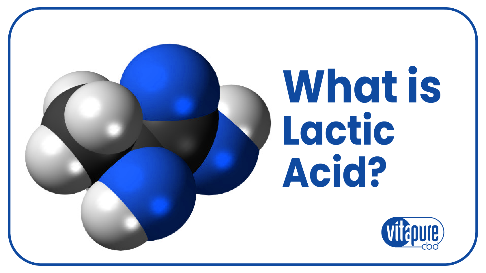 Lactic Acid | CBD Ingredient Glossary | Organna CBD