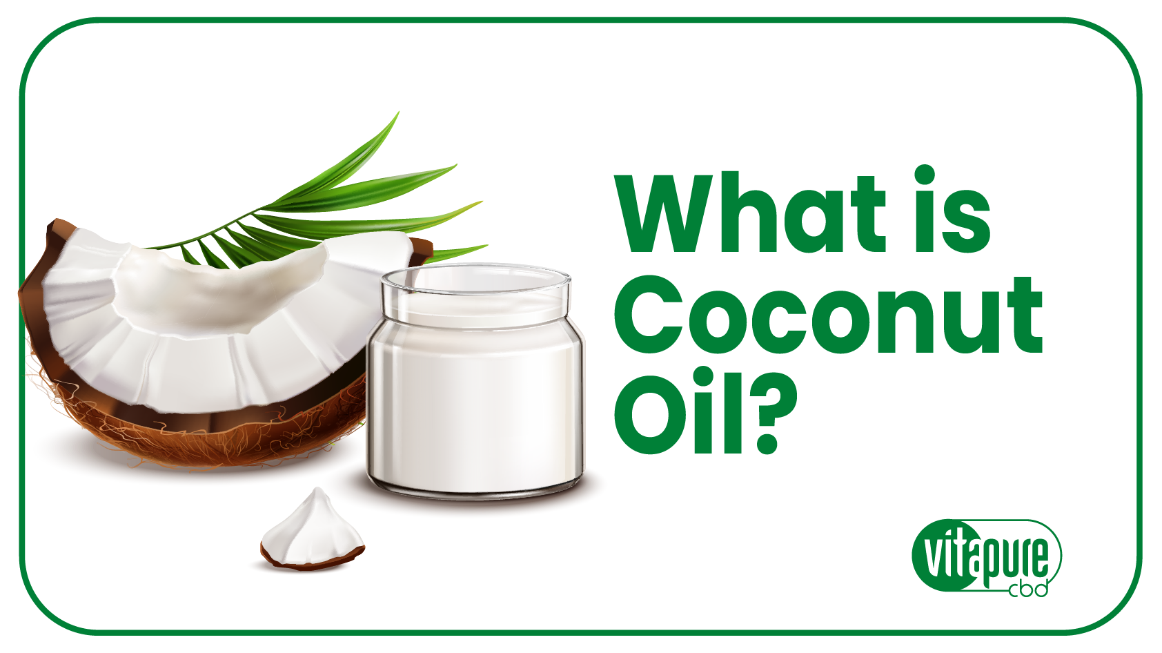 Coconut Oil | CBD Ingredient Glossary | Organna CBD