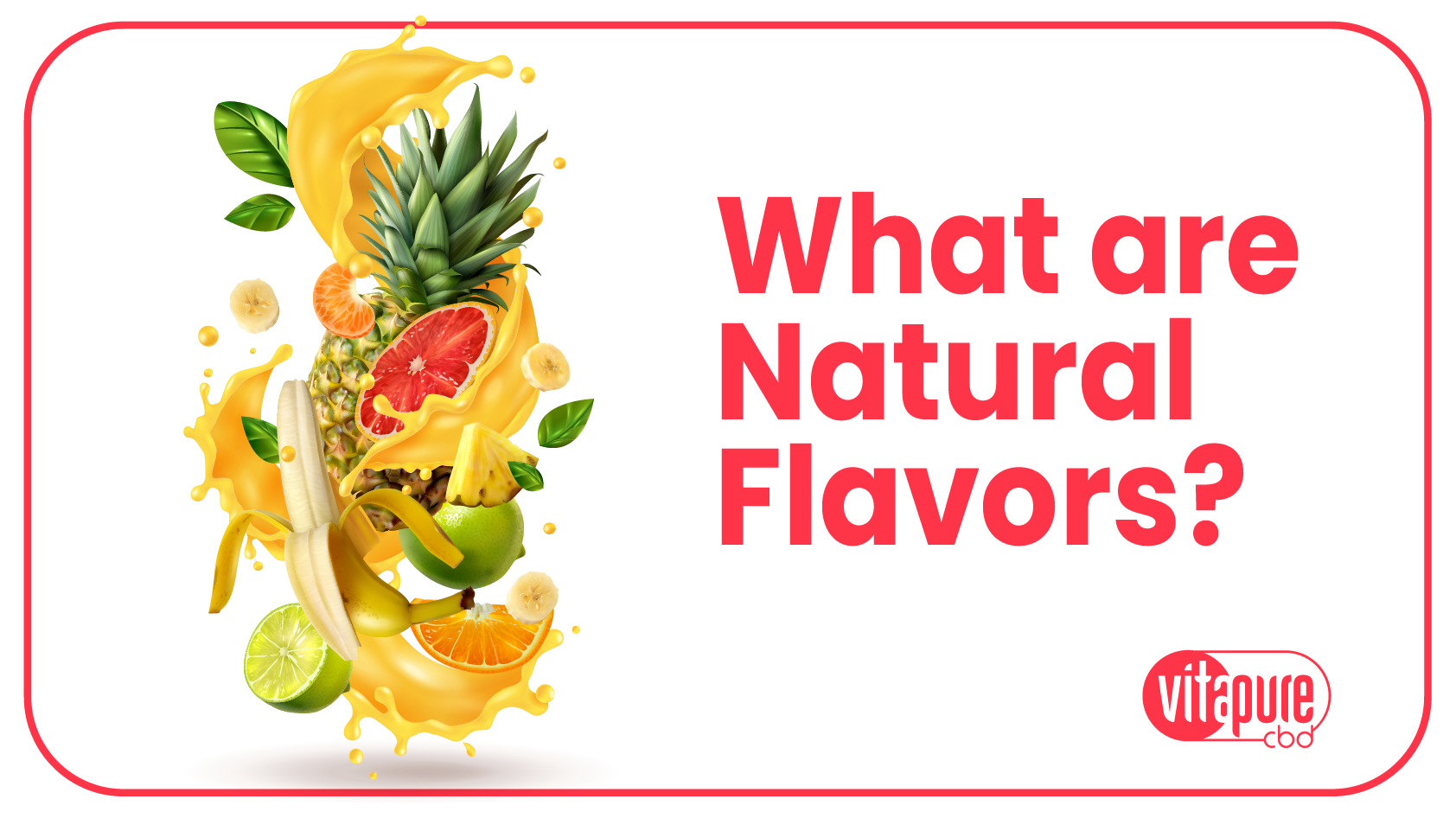 Natural Flavors | CBD Ingredient Glossary | Organna CBD