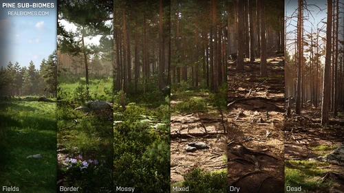 RealBiomes Scots Pine Forest Biome Unreal Engine 5 | 3dcourse