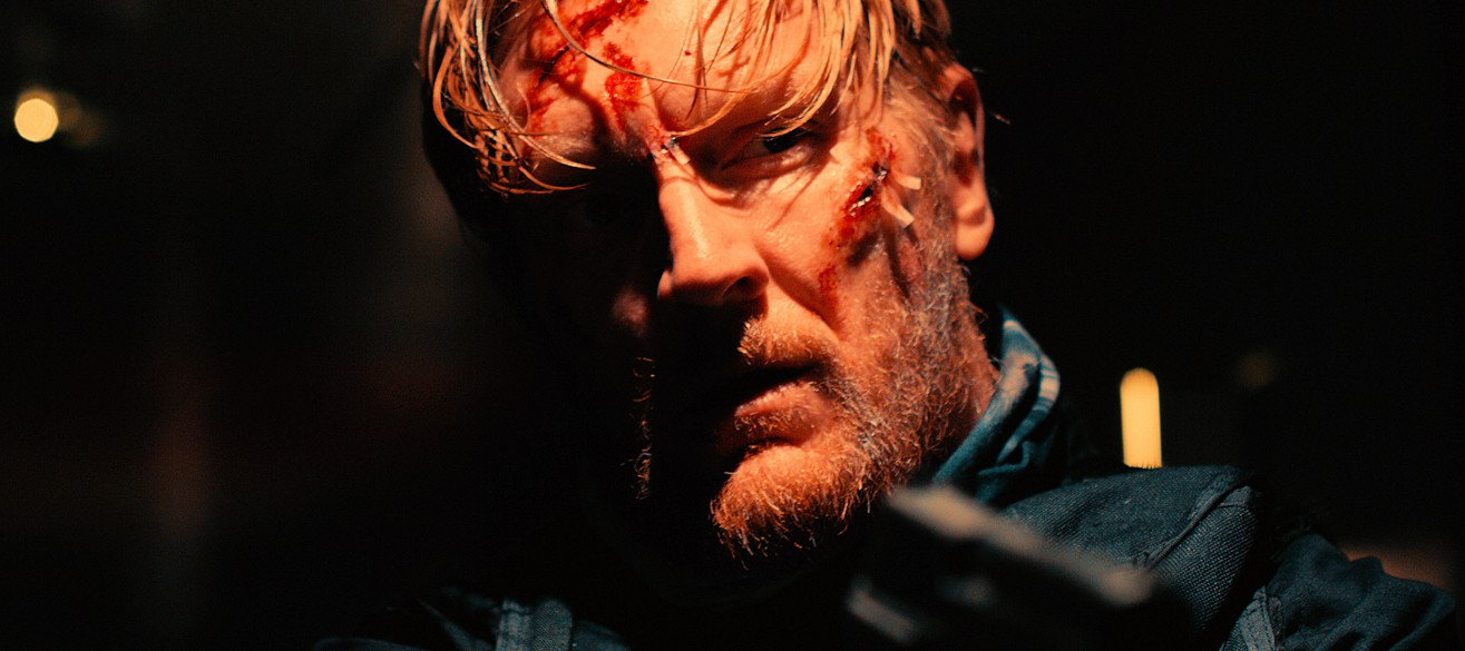 Fyre Rises Review | Film Reviews