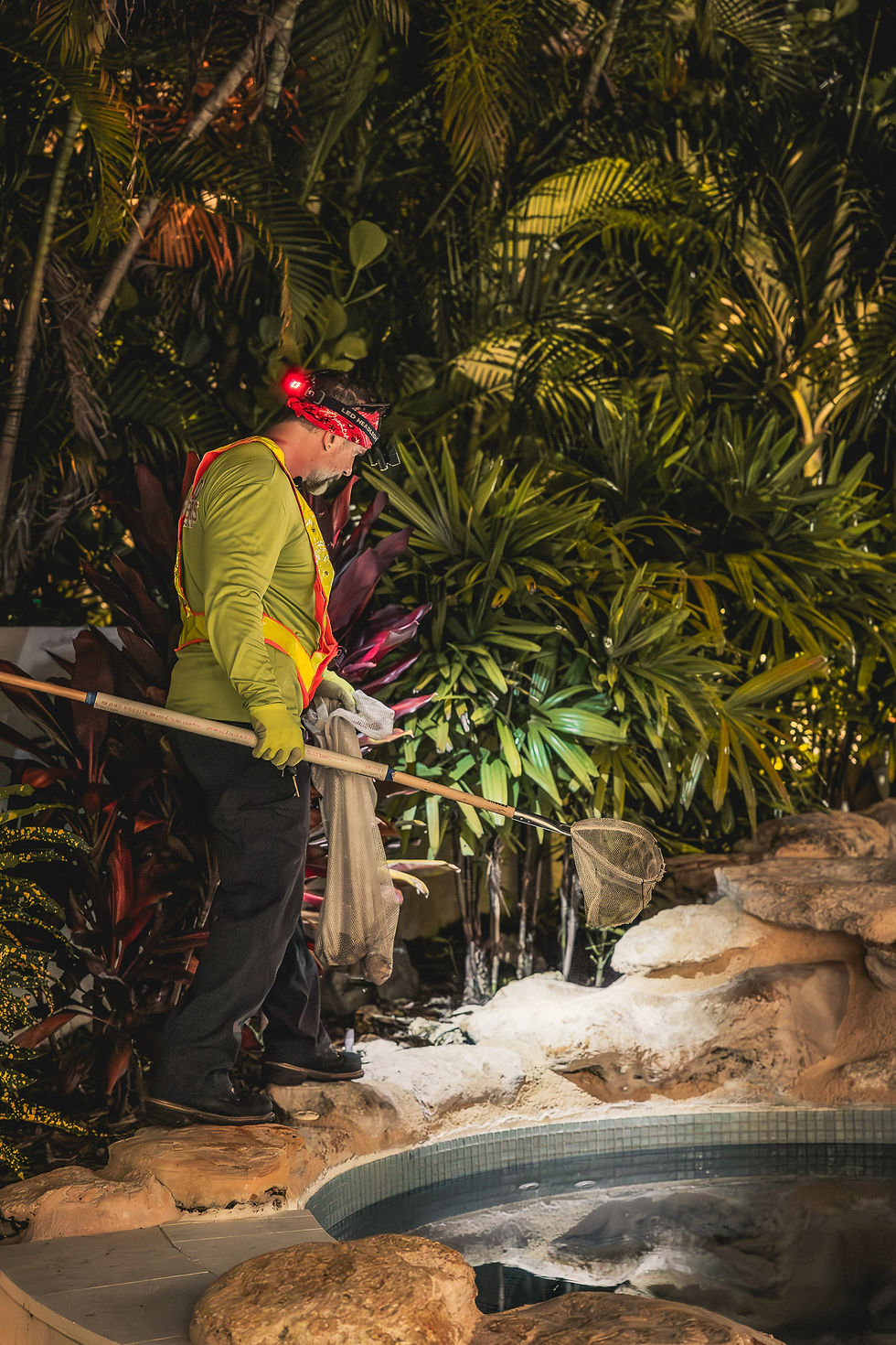 PHOTOS | Toad Busters - Florida Cane Toad Removal & Prevention ...